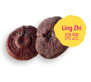 TCM and Supplements - Hockhua Tonic